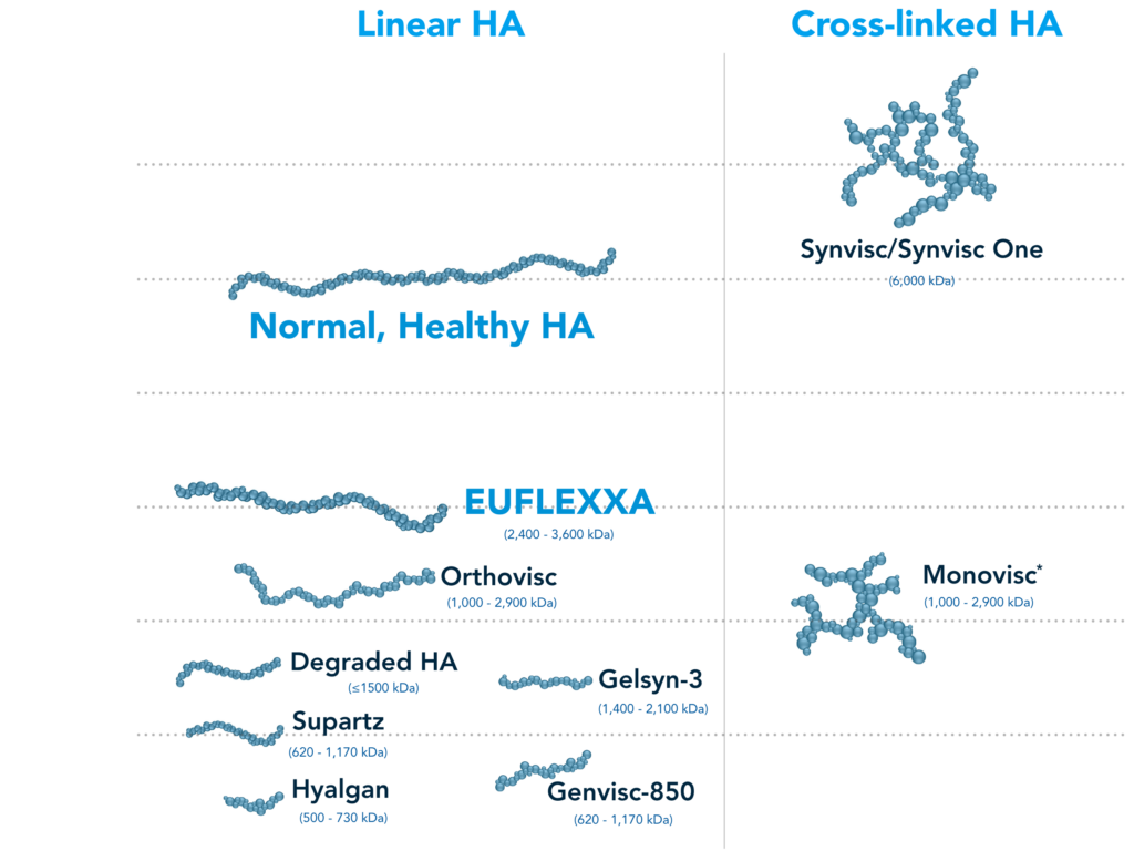 Dual-Acting Effects – Euflexxa